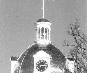 Franklin woman awarded Centenary Cyclone Scholarship