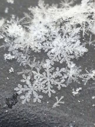 Snowflake close-up