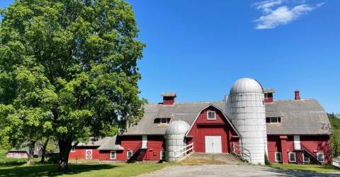 Lusscroft Farm open to visitors today