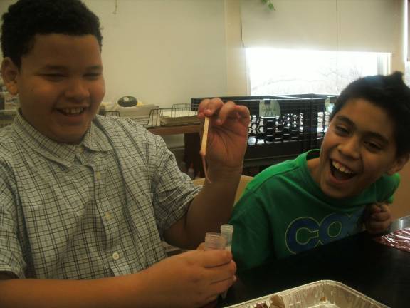 Franklin students study strawberry DNA