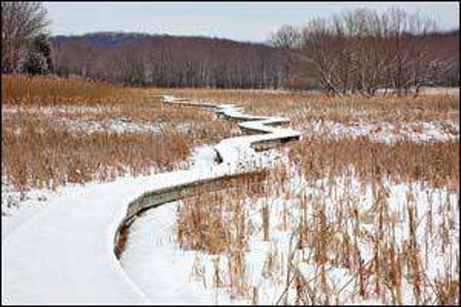 Long and winding trail