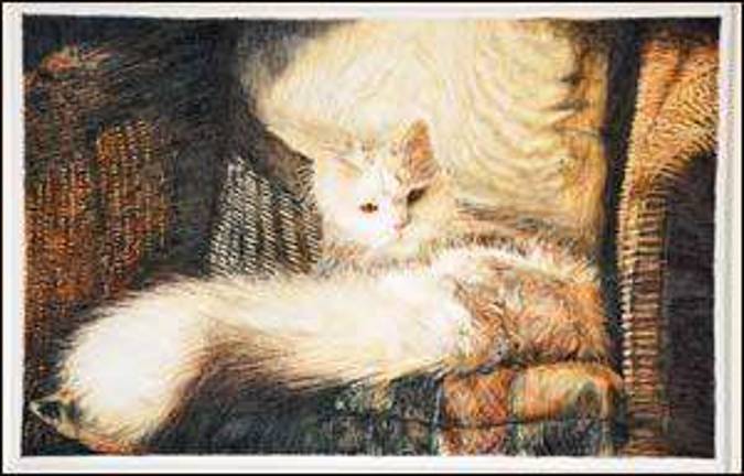 Hewitt artist exhibits her artworks - and her love of cats - at ...